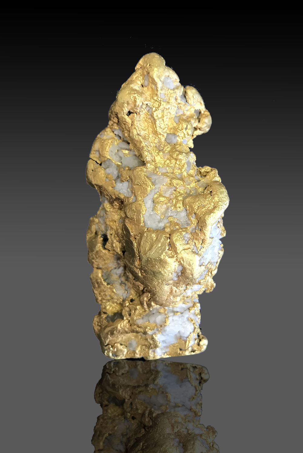 Huge 13 Troy Ounce British Columbia Gold Nugget with Quartz - $27,500. ...